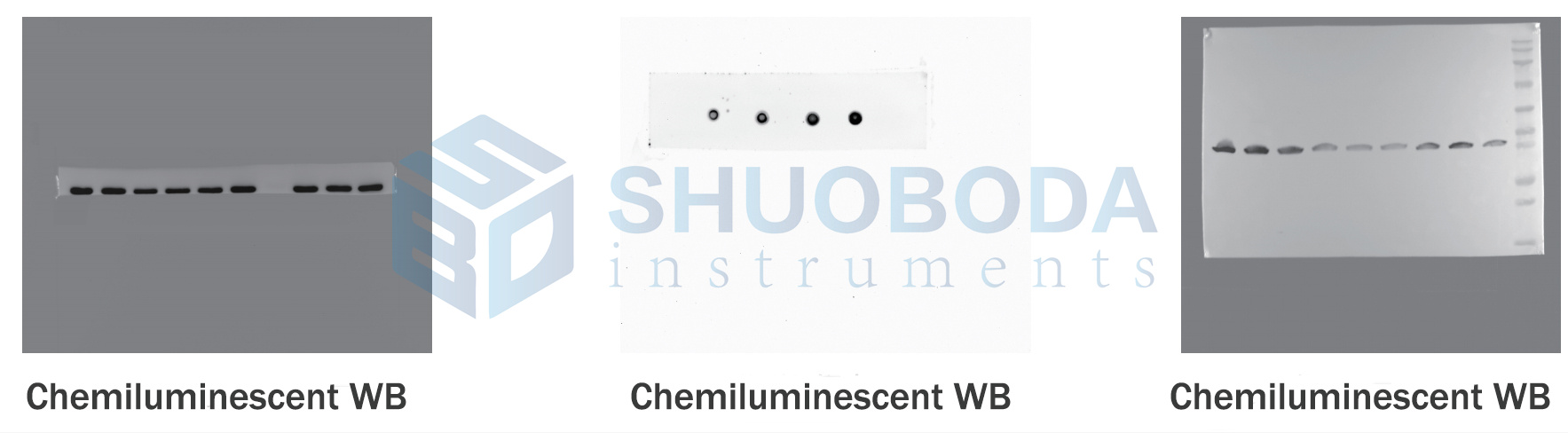 CI660 Chemiluminescence imaging system - Shuoboda