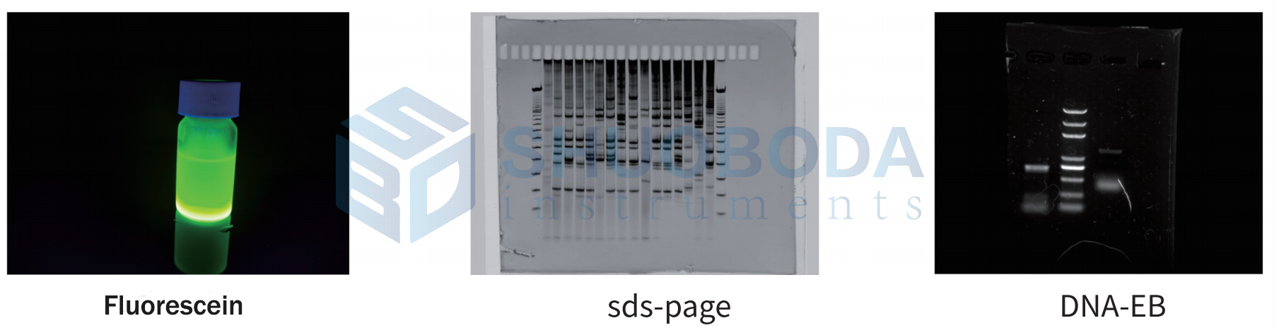 GI520 Automatic DNA Gel Imaging System - Shuoboda